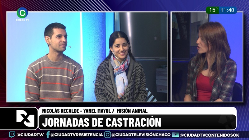 La organización Misión Animal pide a los municipios “castraciones ...